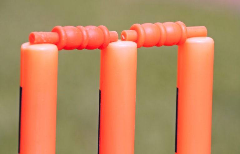 Walking Cricket - Active In The Community